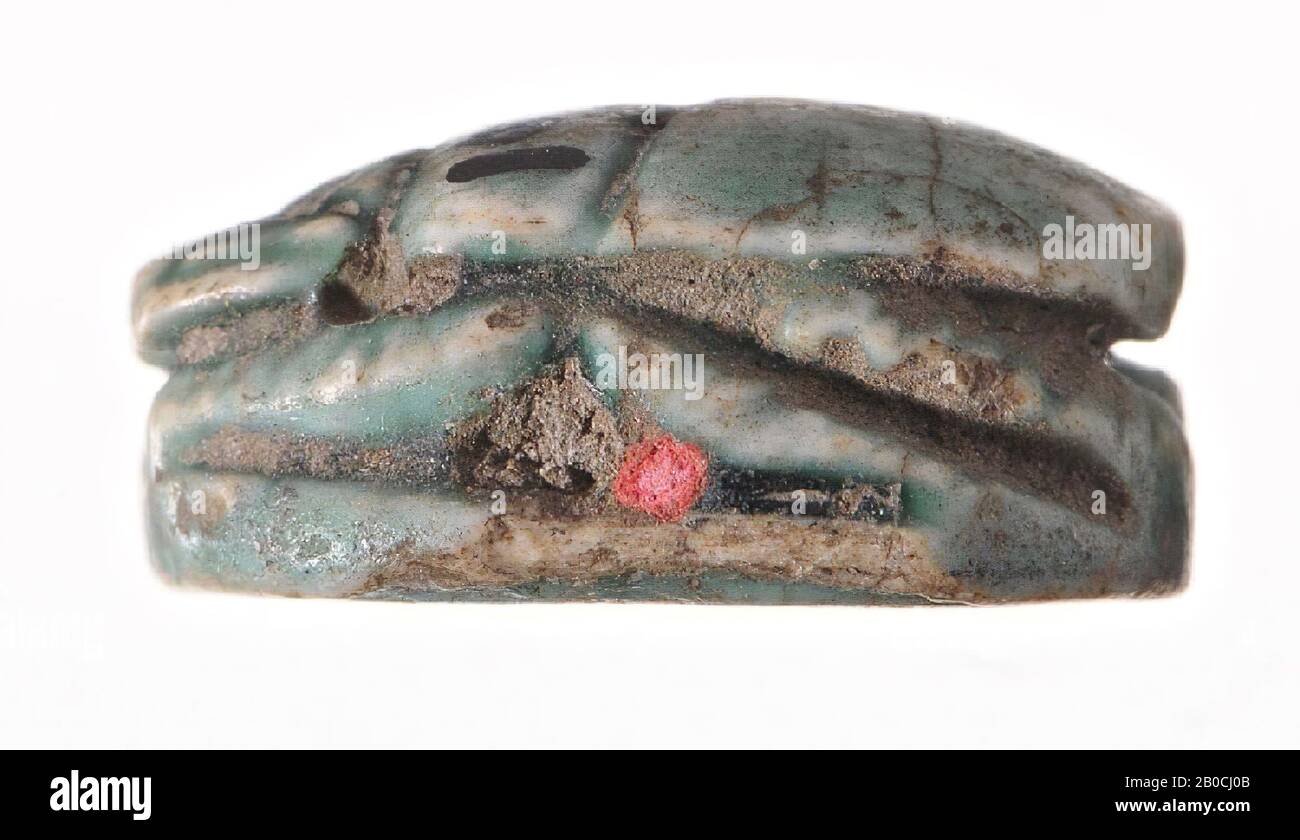 scarab, lotus motif, seal, scarab, faience, 1,2 cm, Egypt Stock Photo ...