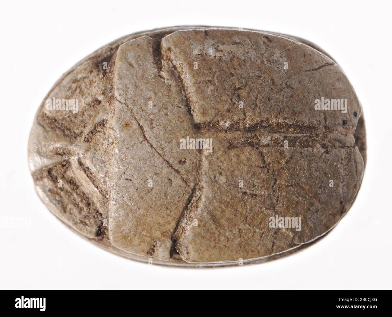 Baboon legs Cut Out Stock Images & Pictures - Alamy