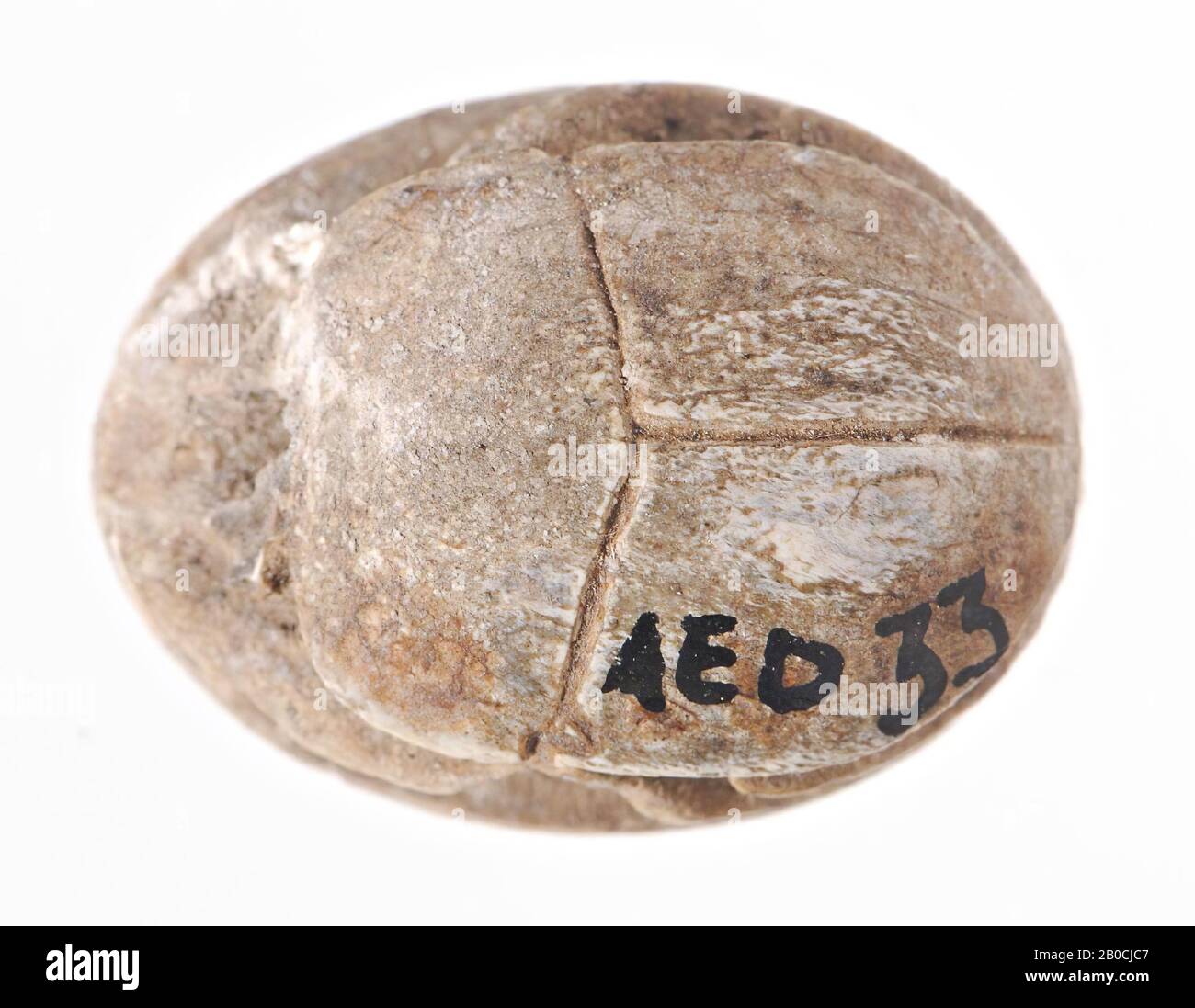 scarab, man, uraeus, 2 pieces, seal, scarab, stone, talcum, 1,5 cm ...