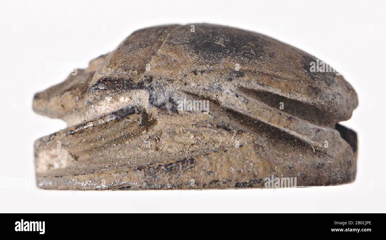 scarab, Wesermaatre-Setepenre, seal, scarab, faience, 1,4 cm, New ...