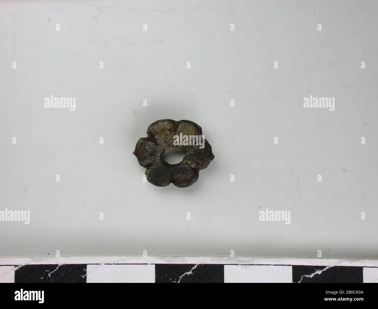 Six lobes separated hi-res stock photography and images - Alamy