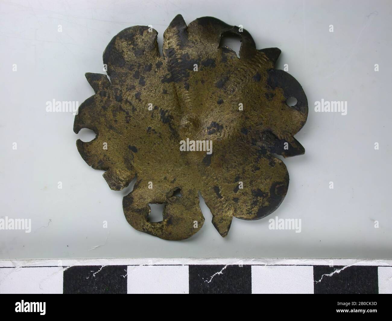 Lobes pointed hi-res stock photography and images - Alamy