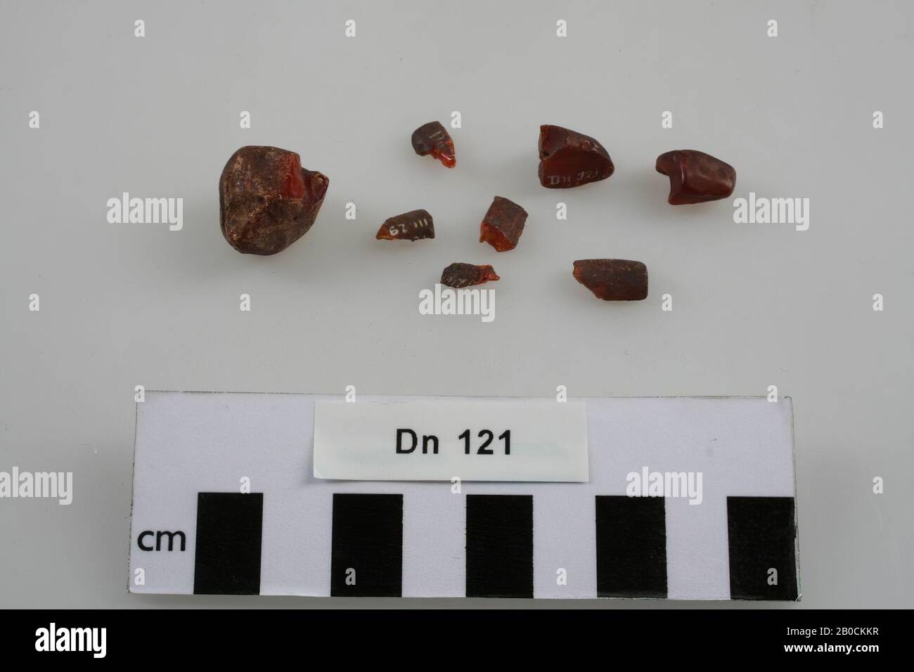 Elongated bead of amber, broken, bead, organic, amber, prehistoric ...