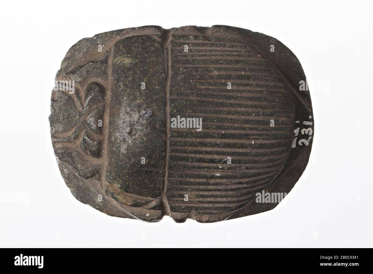 scarab, flat, seal, scarab, stone, serpentine, 4,5 cm, Egypt Stock ...