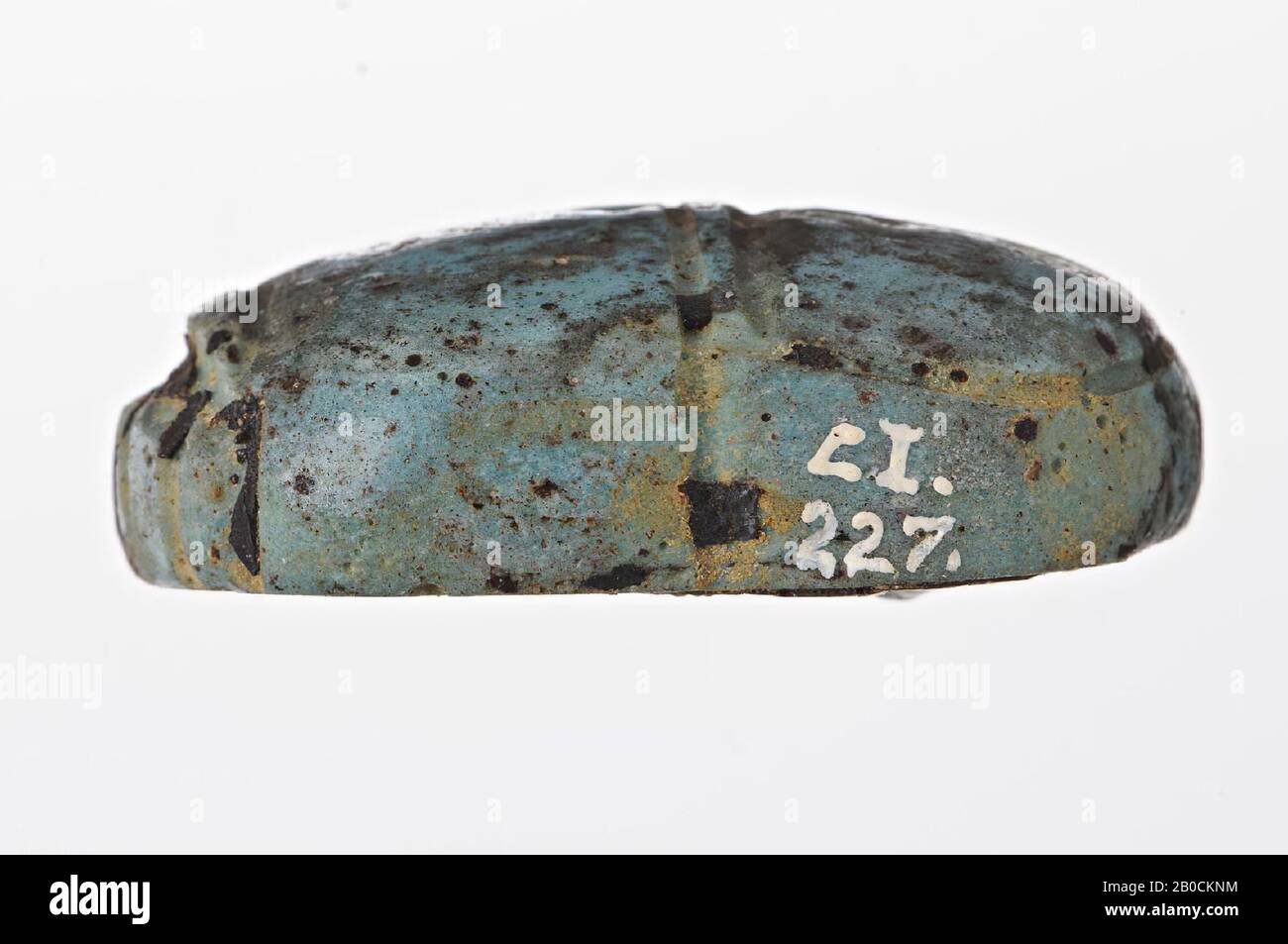 scarab, flat, seal, scarab, faience, pitch, 4.1 cm, Egypt Stock Photo ...