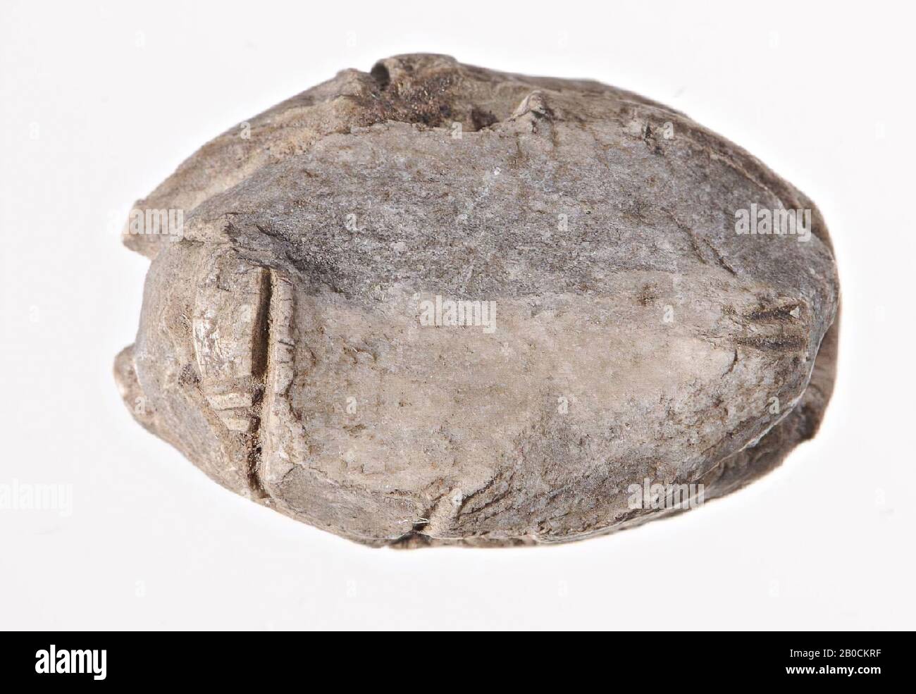scarab, damaged, seal, scarab, stone (gray), 1,6 cm, Egypt Stock Photo ...