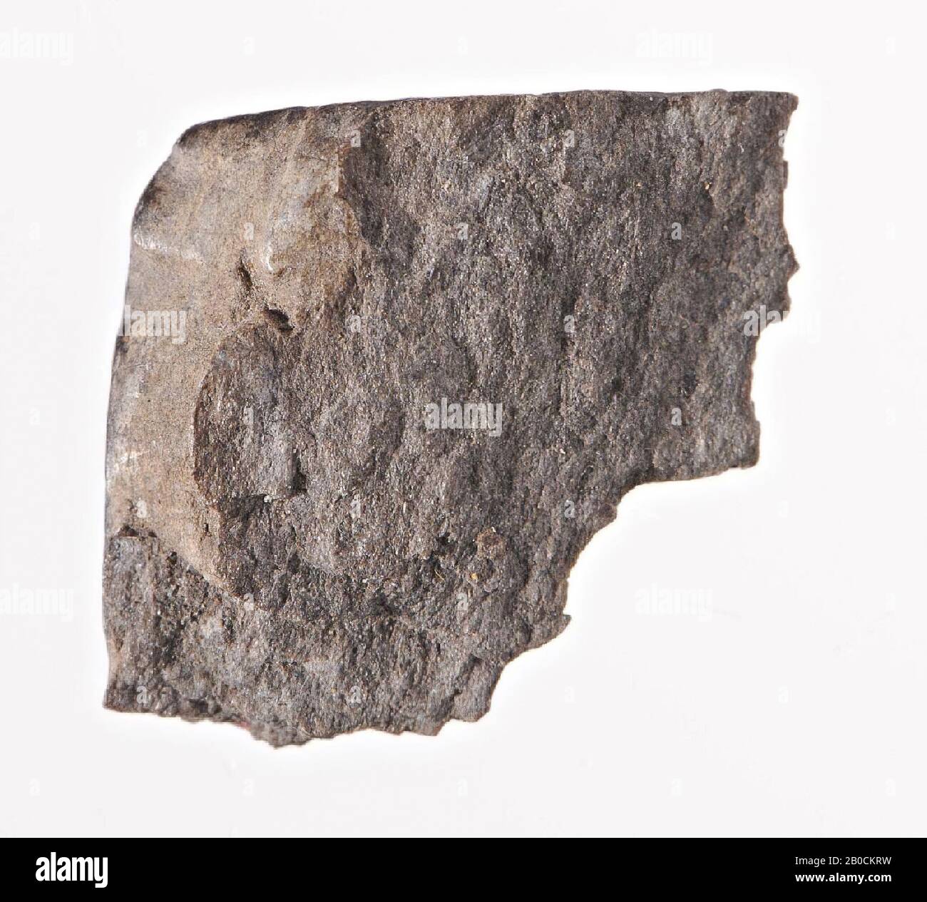 scarab, fragment, seal, scarab, stone (black), 1,2 cm, Egypt Stock ...