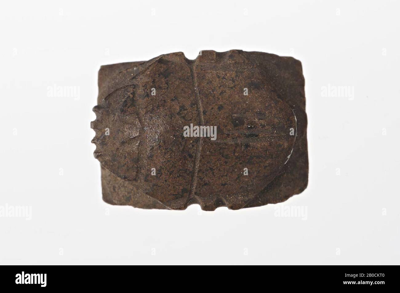 scarab, flat, seal, scarab, stone (brown), 2,3 cm, Egypt Stock Photo ...