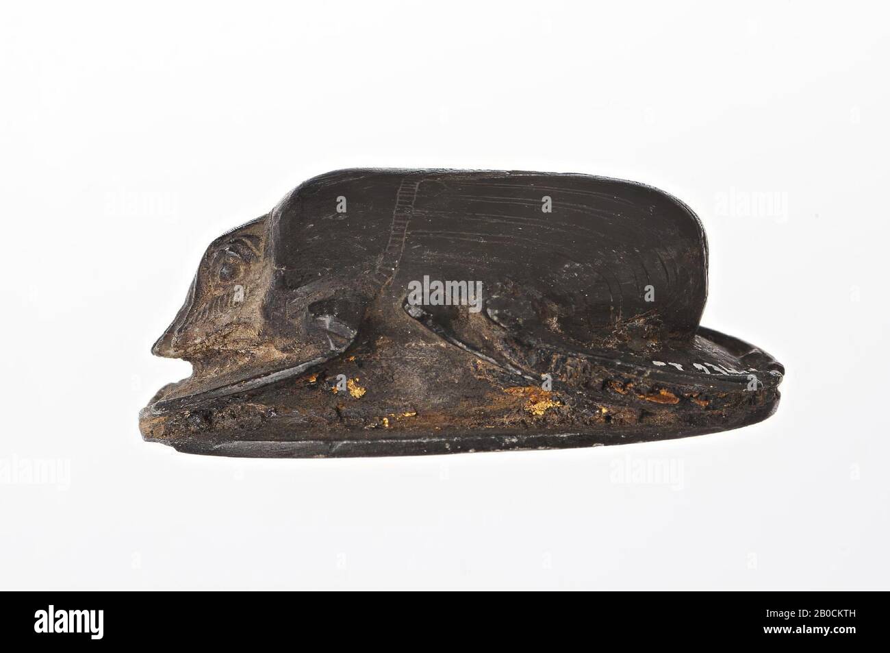 scarab, flat, seal, scarab, faience, 5.5 cm, Egypt Stock Photo - Alamy