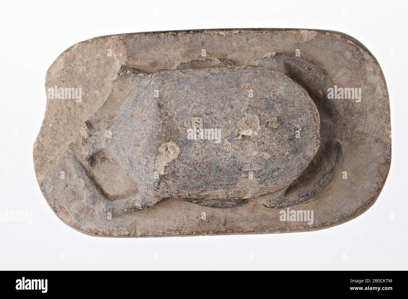 scarab, flat, seal, scarab, stone, 9 cm, Egypt Stock Photo - Alamy