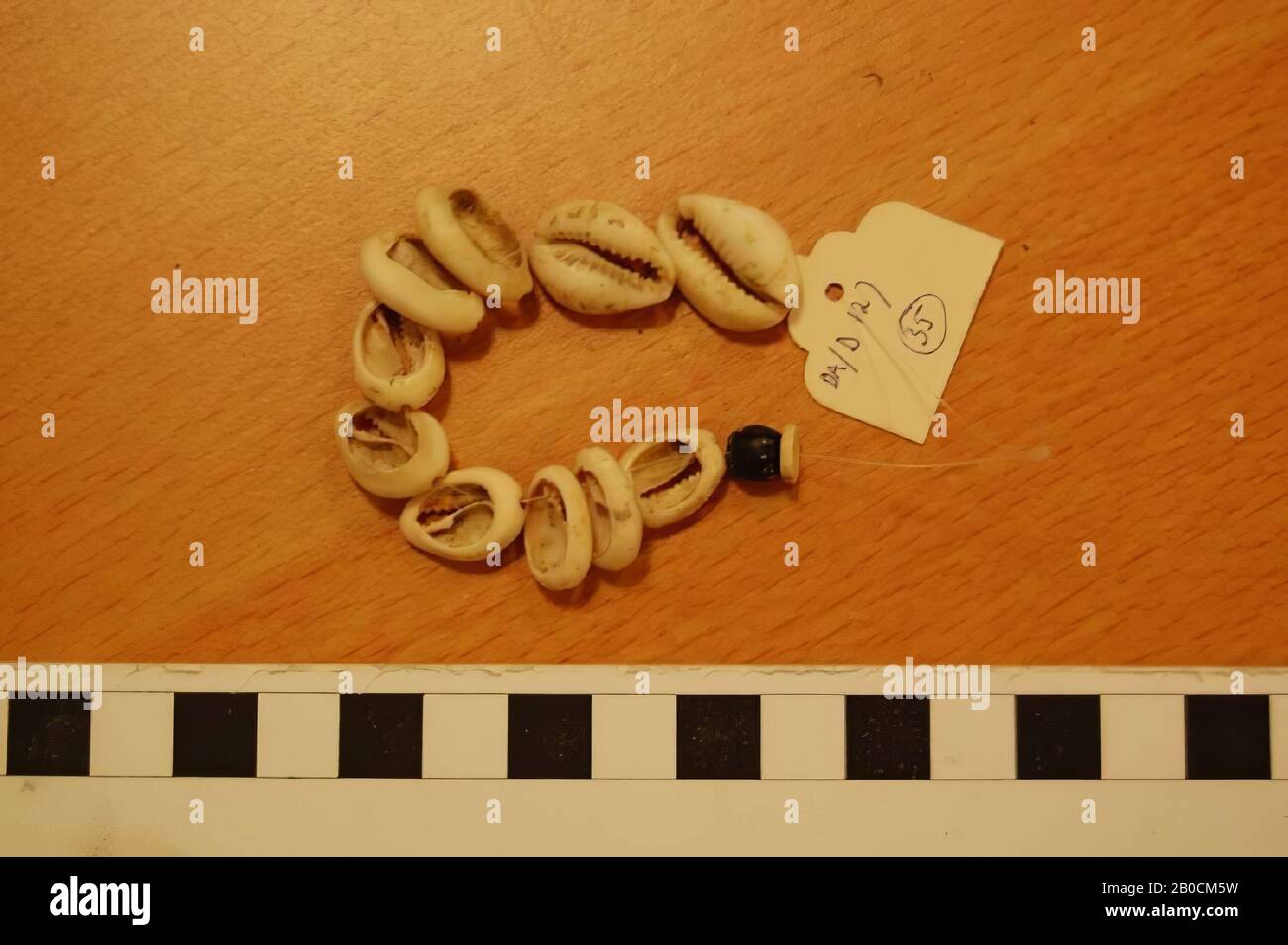 10 kauri shells hi-res stock photography and images - Alamy