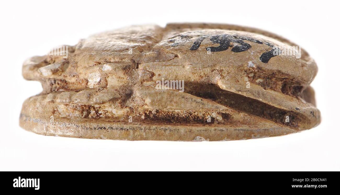 scarab, Horusvalk, nefertign, sunrigram, seal, scarab, pottery (white ...