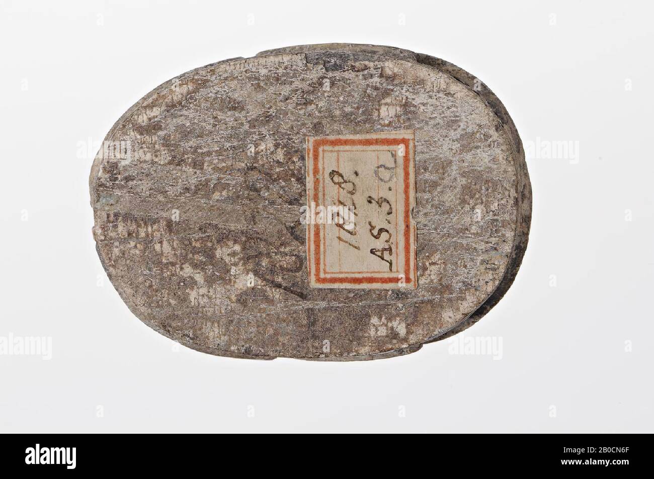 abdominal carabie, flat, seal, scarab, limestone (gray), 4 cm, Egypt ...