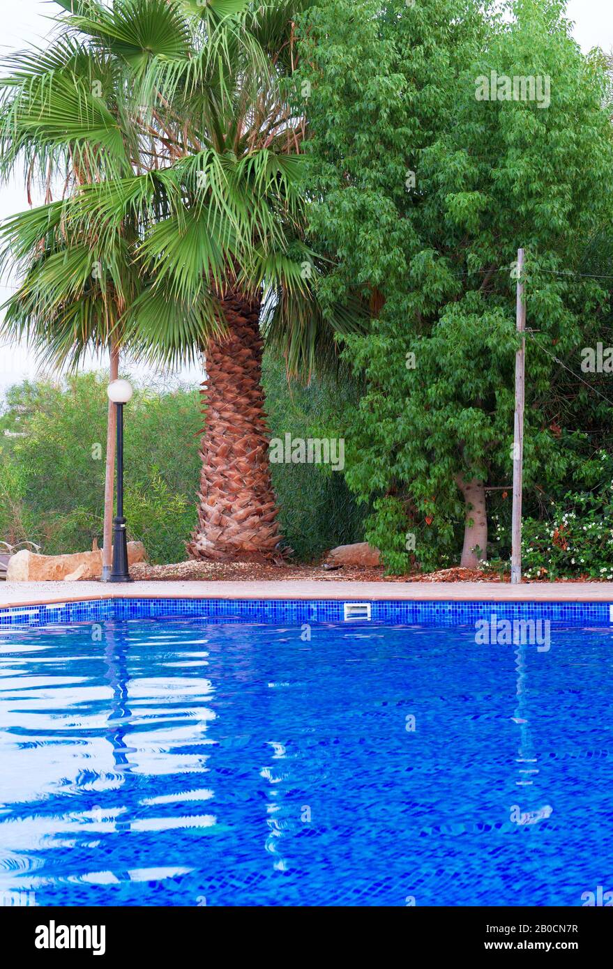 Outdoor swimming pool at summer time Stock Photo - Alamy