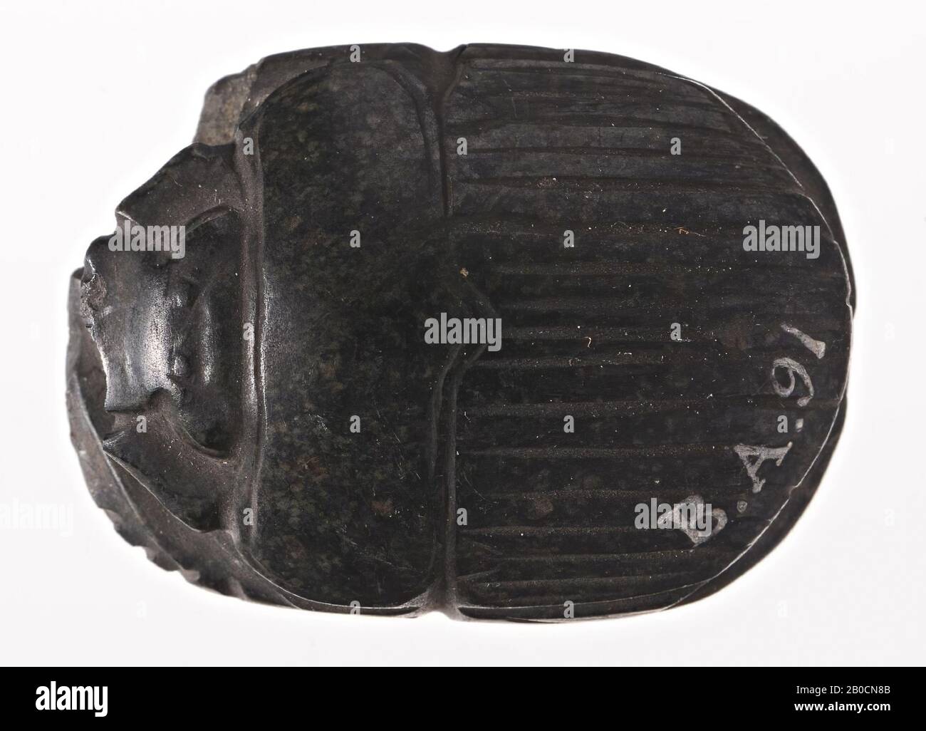 abdominal carabine, flat, seal, scarab, stone (gray), 4 cm, Egypt Stock ...