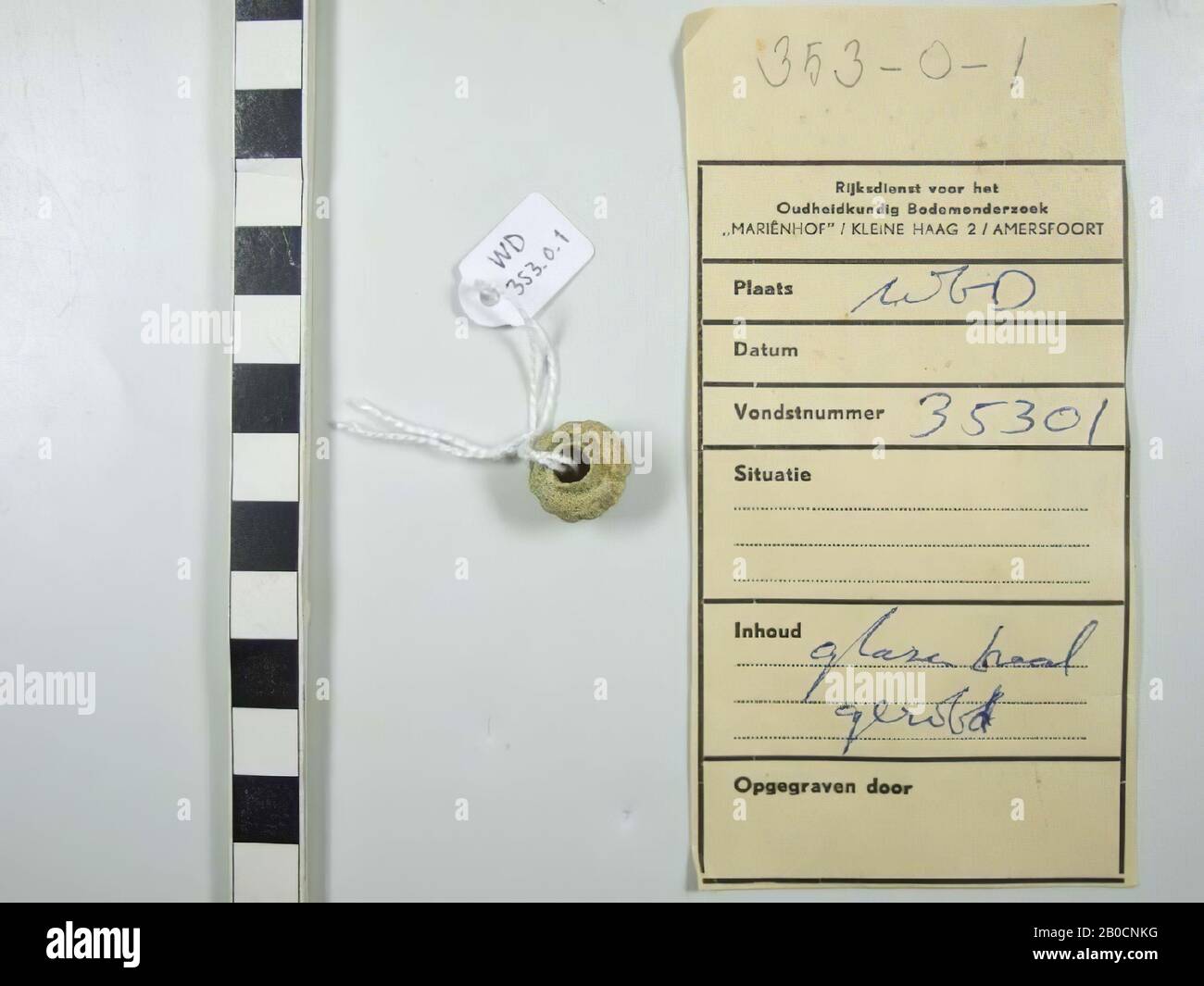 13 Ribs High Resolution Stock Photography and Images - Alamy