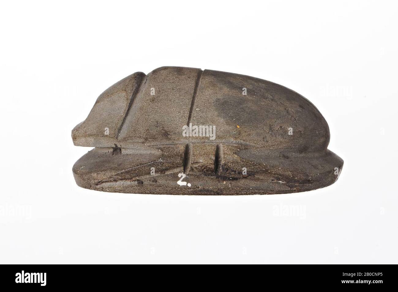 abdominal carabie, flat, seal, scarab, stone, jasper (brown), 5.5 cm ...