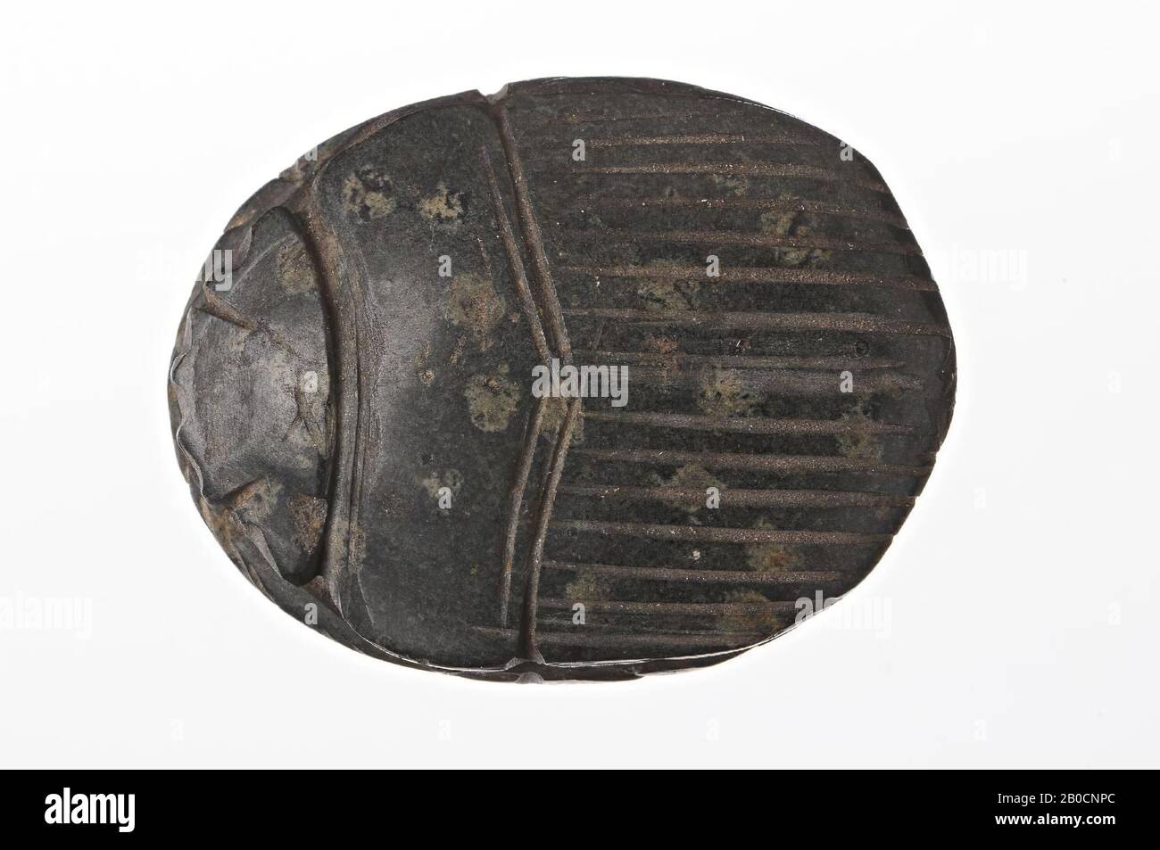 belly carabbean, flat, seal, scarab, stone, serpentine, 4,3 cm, Egypt ...