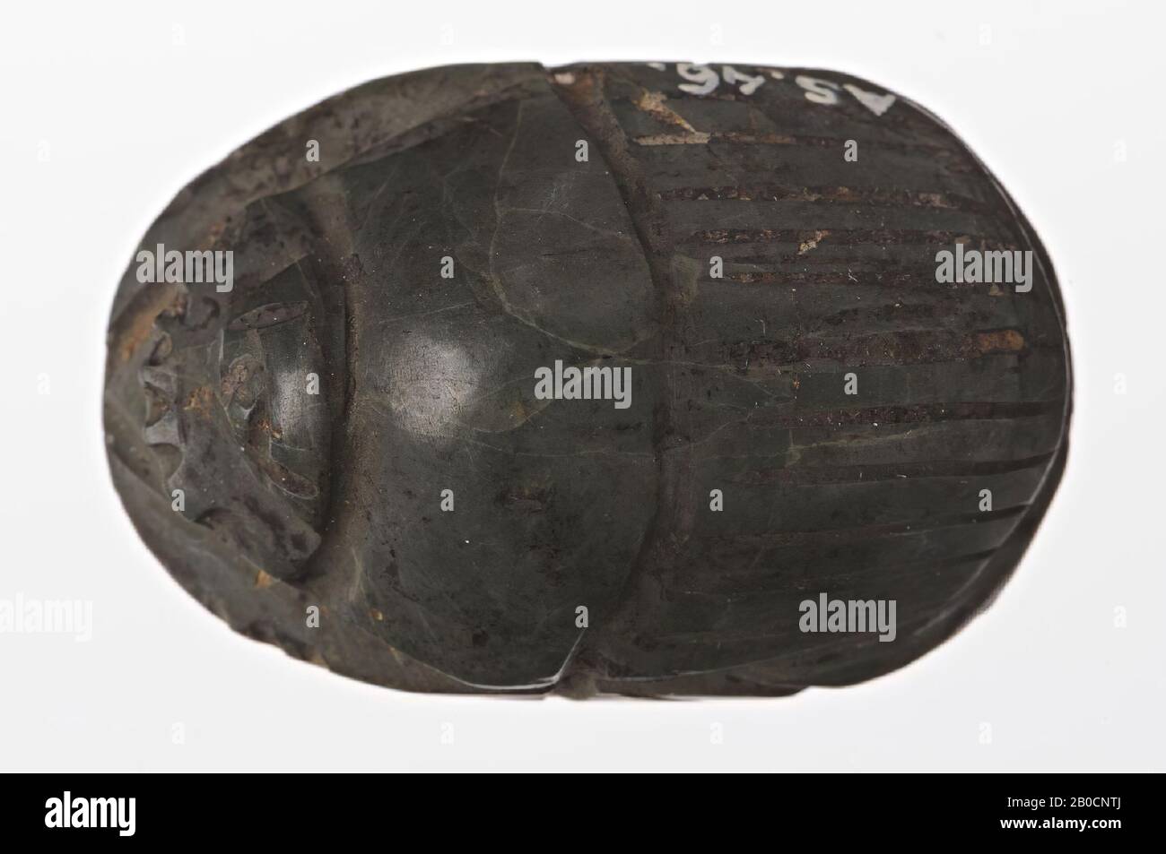 abdominal carabe, flat, seal, scarab, stone, jasper (green), 4 cm ...