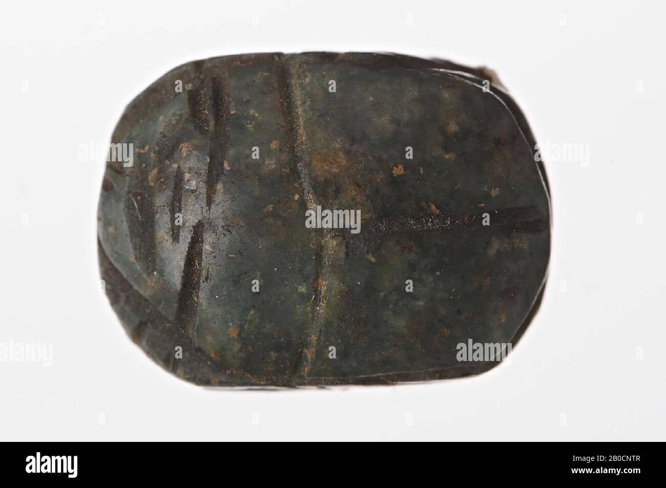 abdominal carabe, flat, seal, scarab, stone, jasper (green), 1,7 cm ...