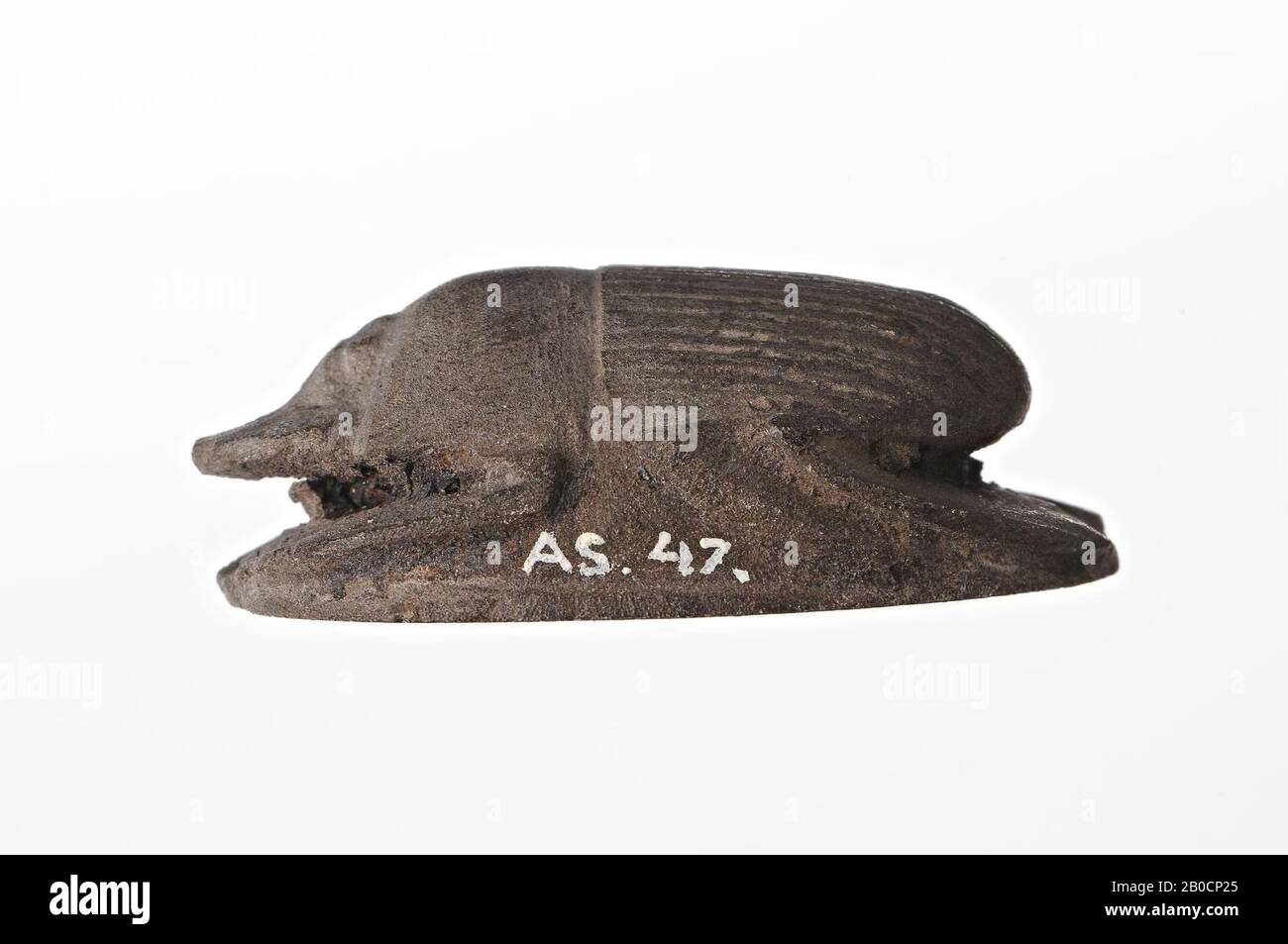 Belly carabee hi-res stock photography and images - Alamy