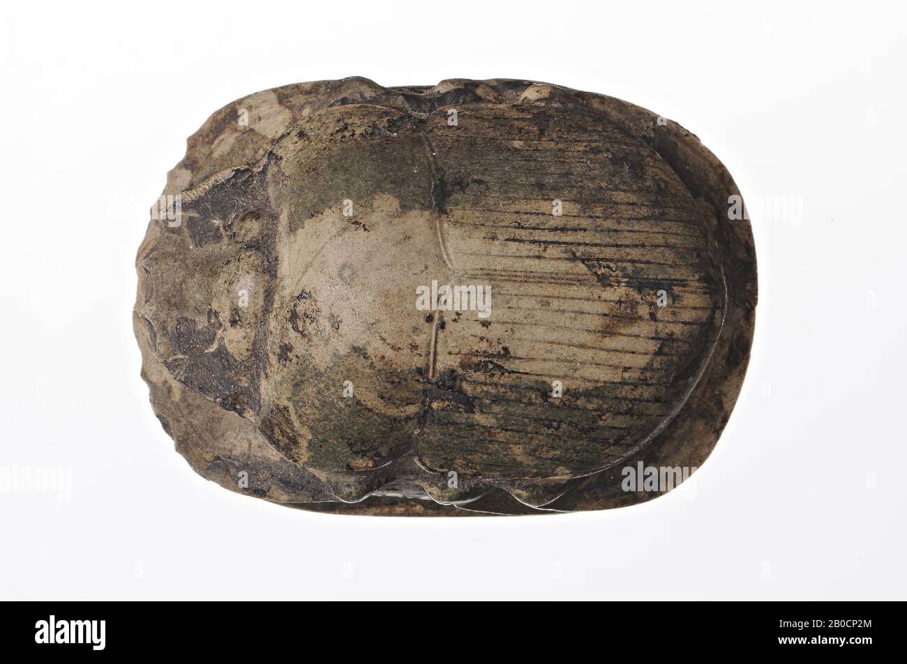 abdominal carabine, flat, seal, scarab, stone (green Stock Photo - Alamy