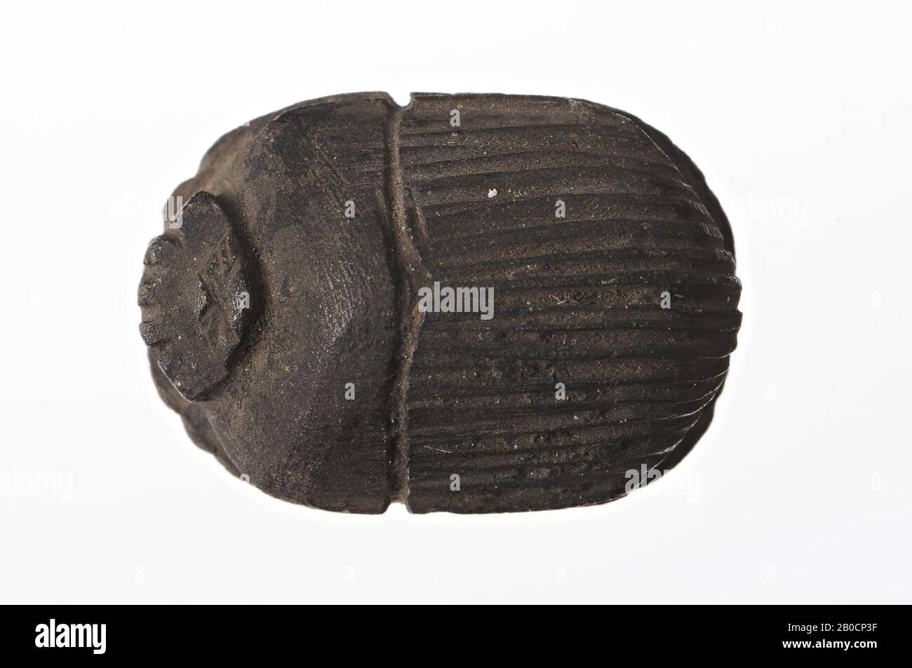 abdominal carabie, flat, seal, scarab, stone, jasper (brown), 2,7 cm ...