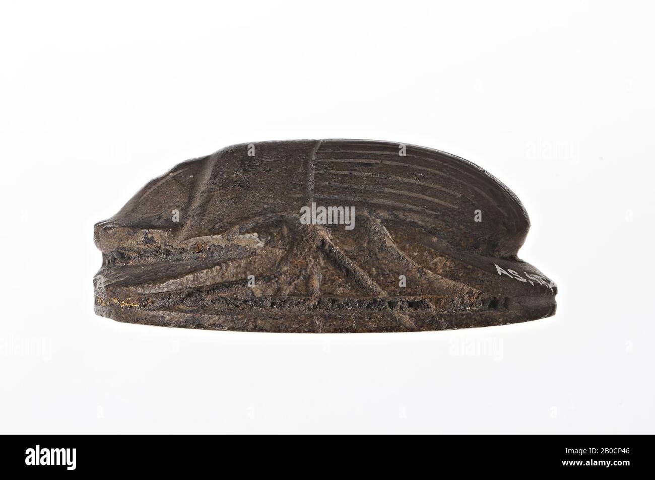 abdominal carabine, flat, seal, scarab, stone, jasper (brown), 5 cm ...