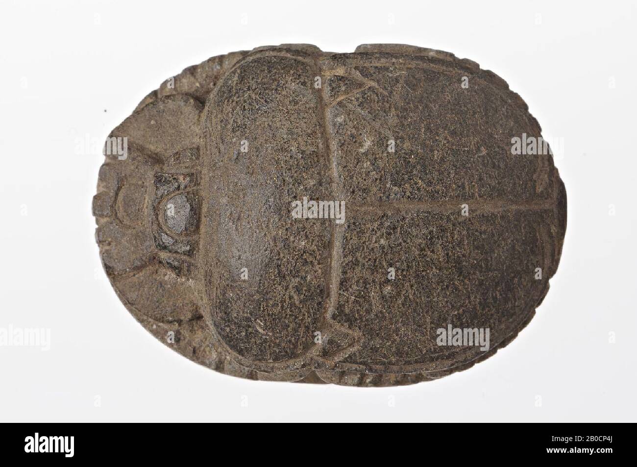 Belly Carabee, Flat, Seal, Scarab, Stone (Gray), 4.1 cm, Egypt Stock ...