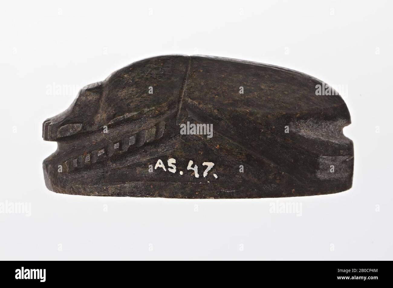 abdominal carabine, flat, seal, scarab, stone, serpentine, 5.7 cm ...