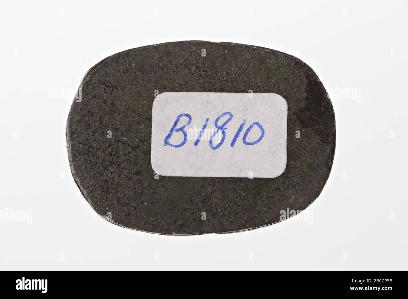 abdominal carabie, flat, seal, scarab, stone (green), 3.3 cm, Egypt ...