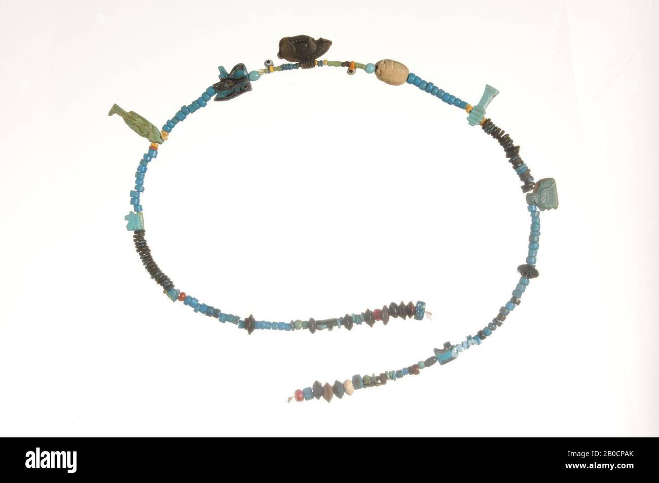 Hippopotamus beetle hi-res stock photography and images - Alamy