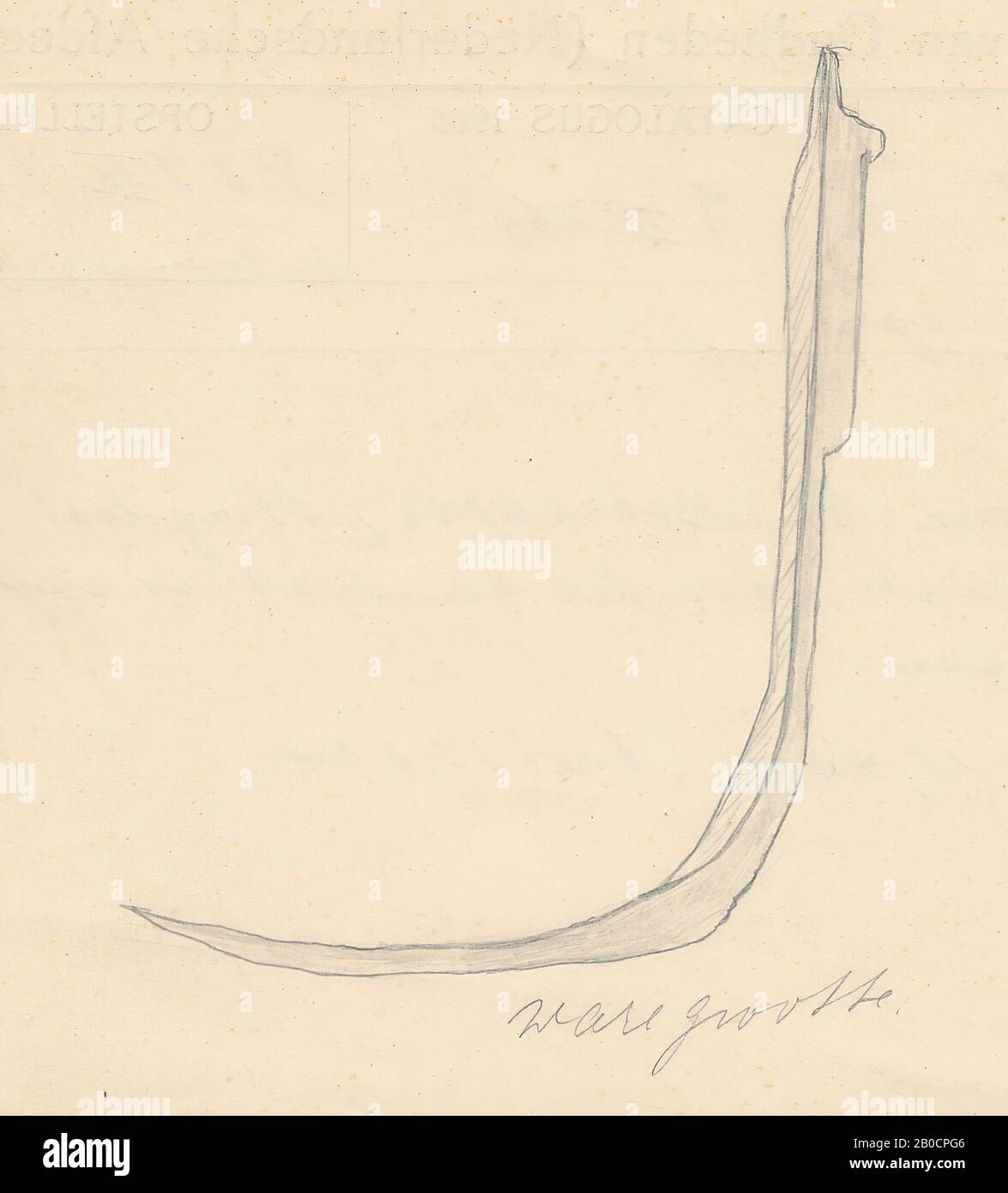 Bronze tip hi-res stock photography and images - Alamy