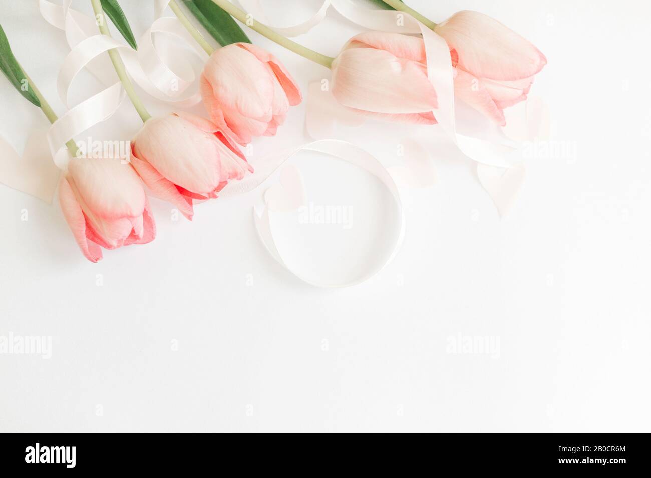 Hello spring. Pink tulips with ribbon and hearts on white background ...