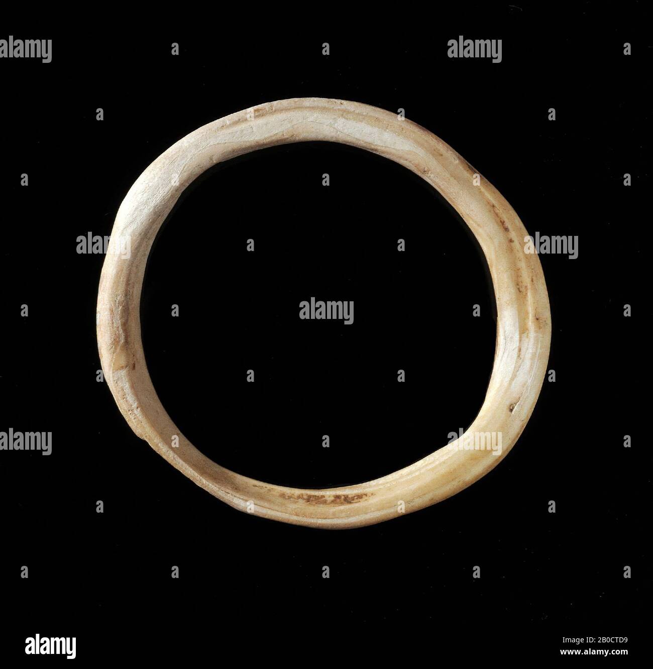 6 2 shell hi-res stock photography and images - Alamy