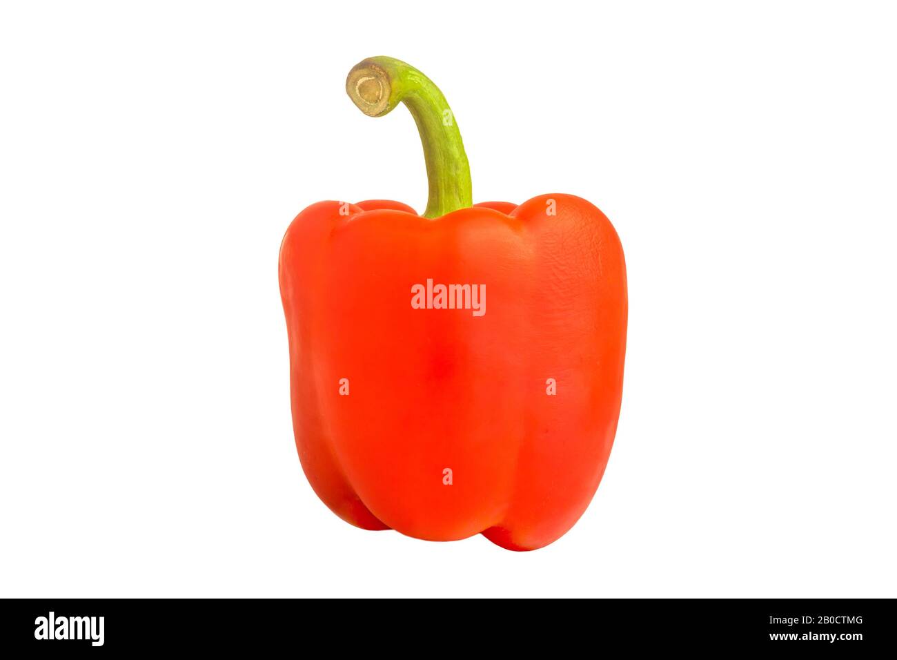 image of one red bell pepper on a white background Stock Photo - Alamy