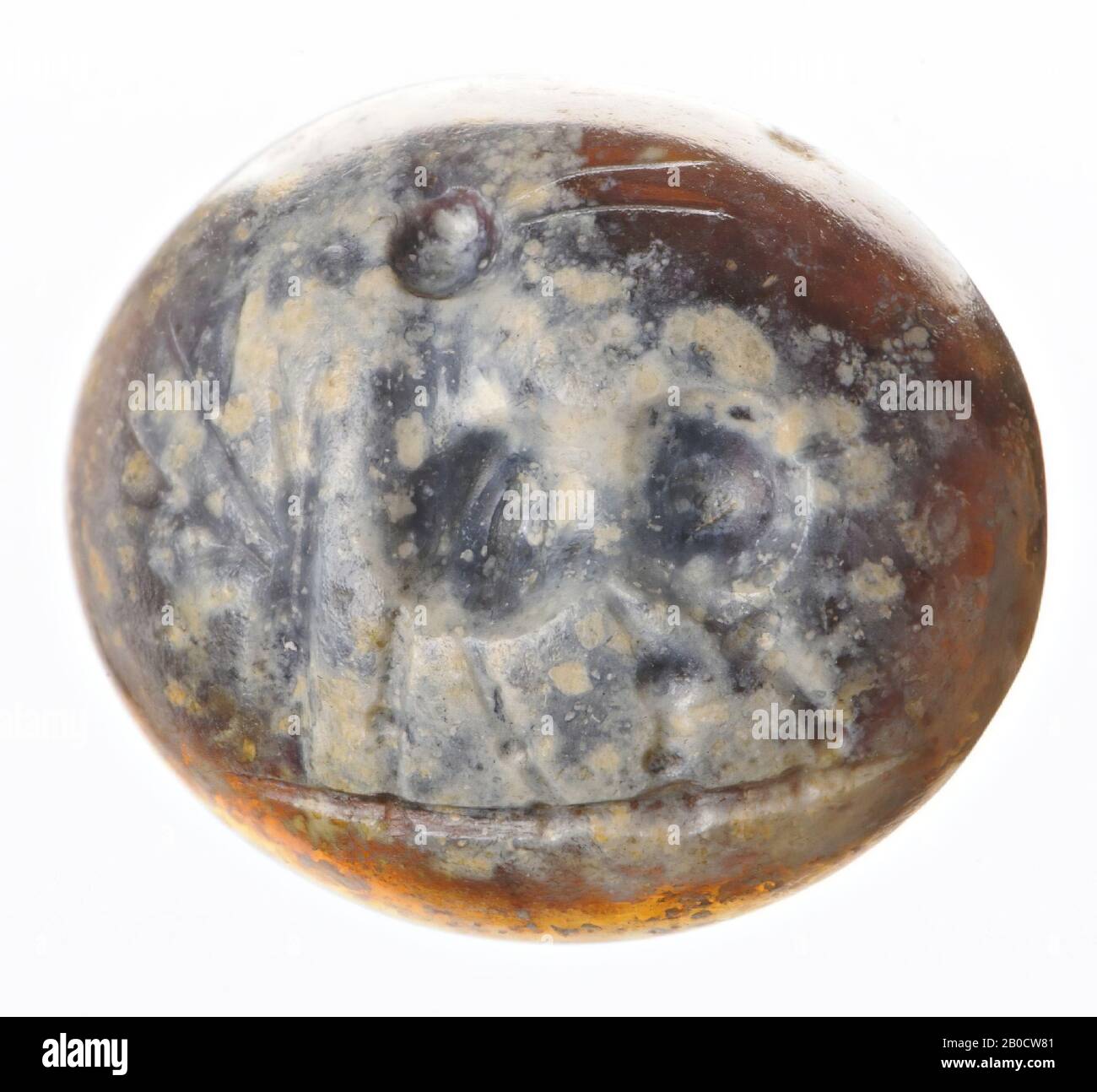 Vz: ground line, a thick animal with pointy antlers is depicted for a ...