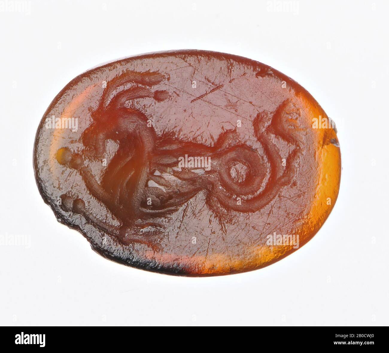 Rounded horns hi-res stock photography and images - Alamy