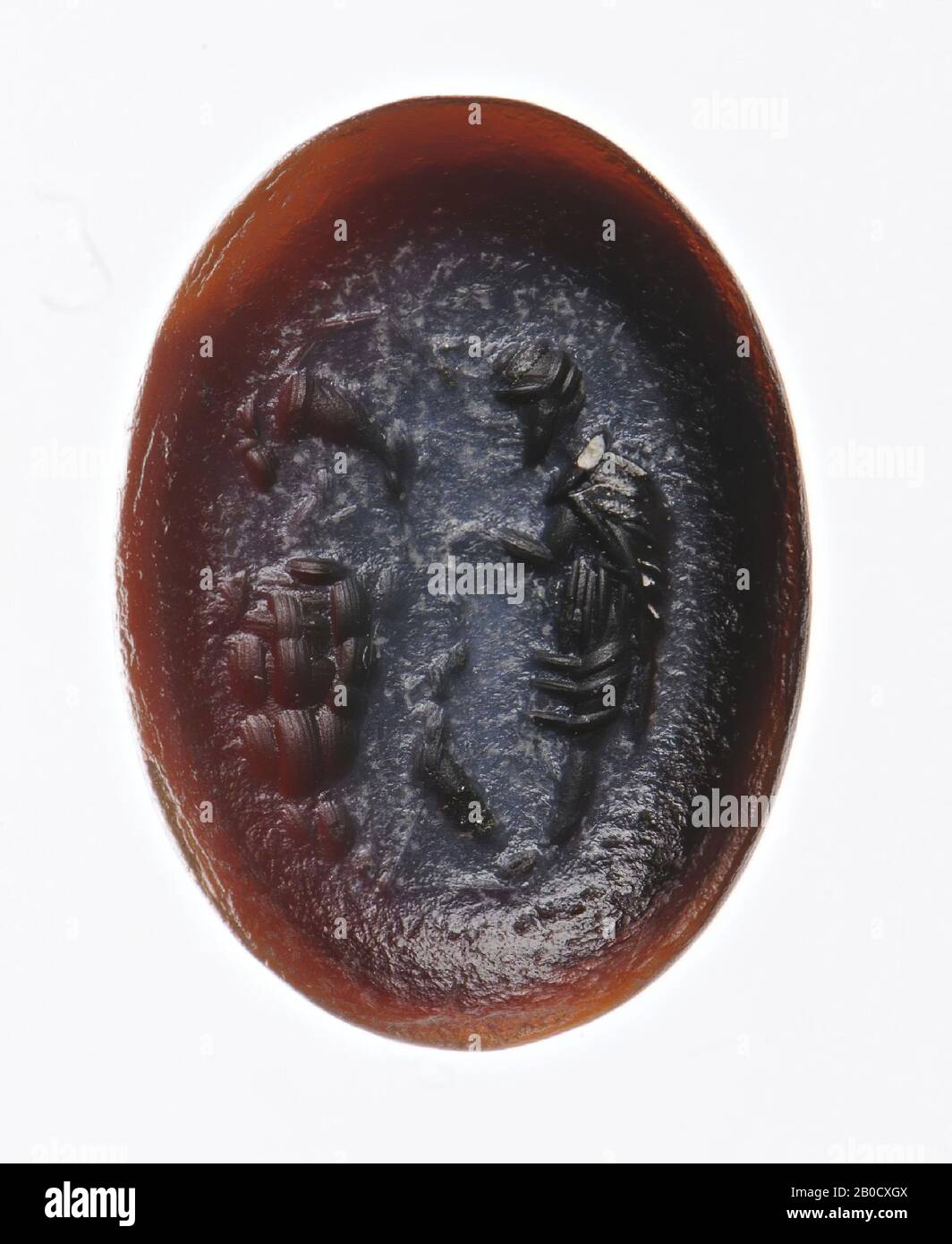 Dog skin cloak hi-res stock photography and images - Alamy