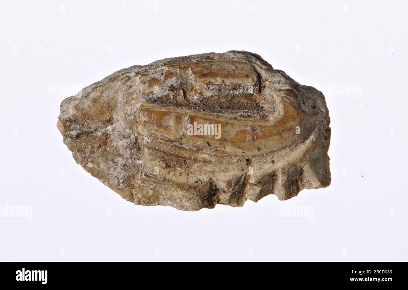 Oval With Pointed Ends