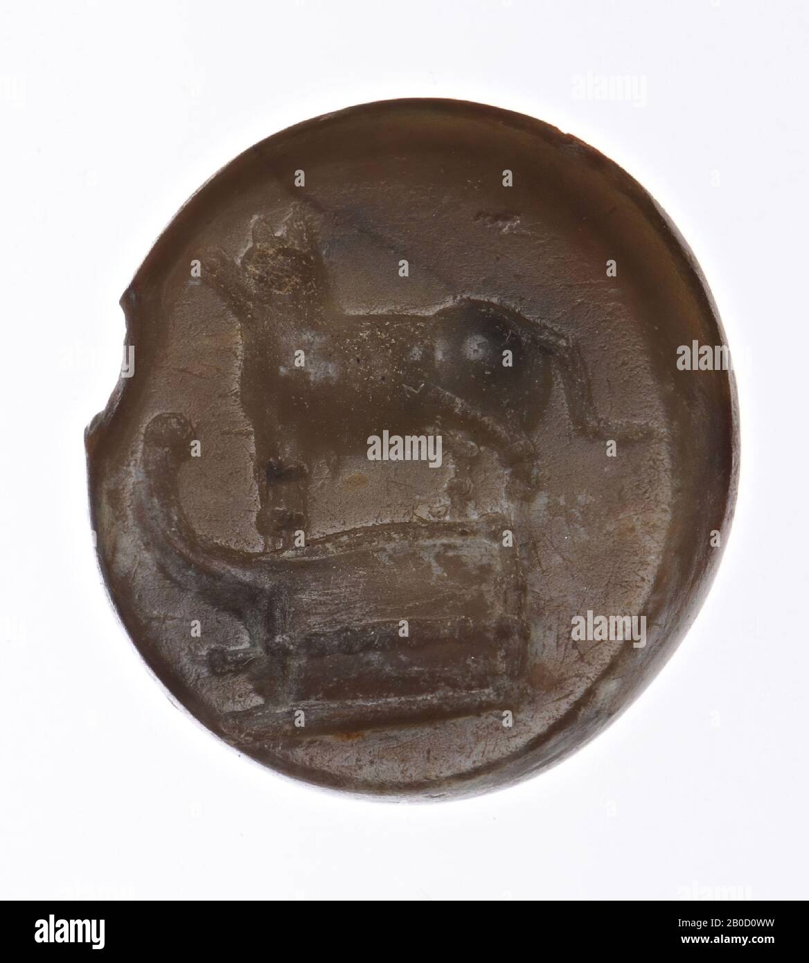 Mottled dog hi-res stock photography and images - Alamy