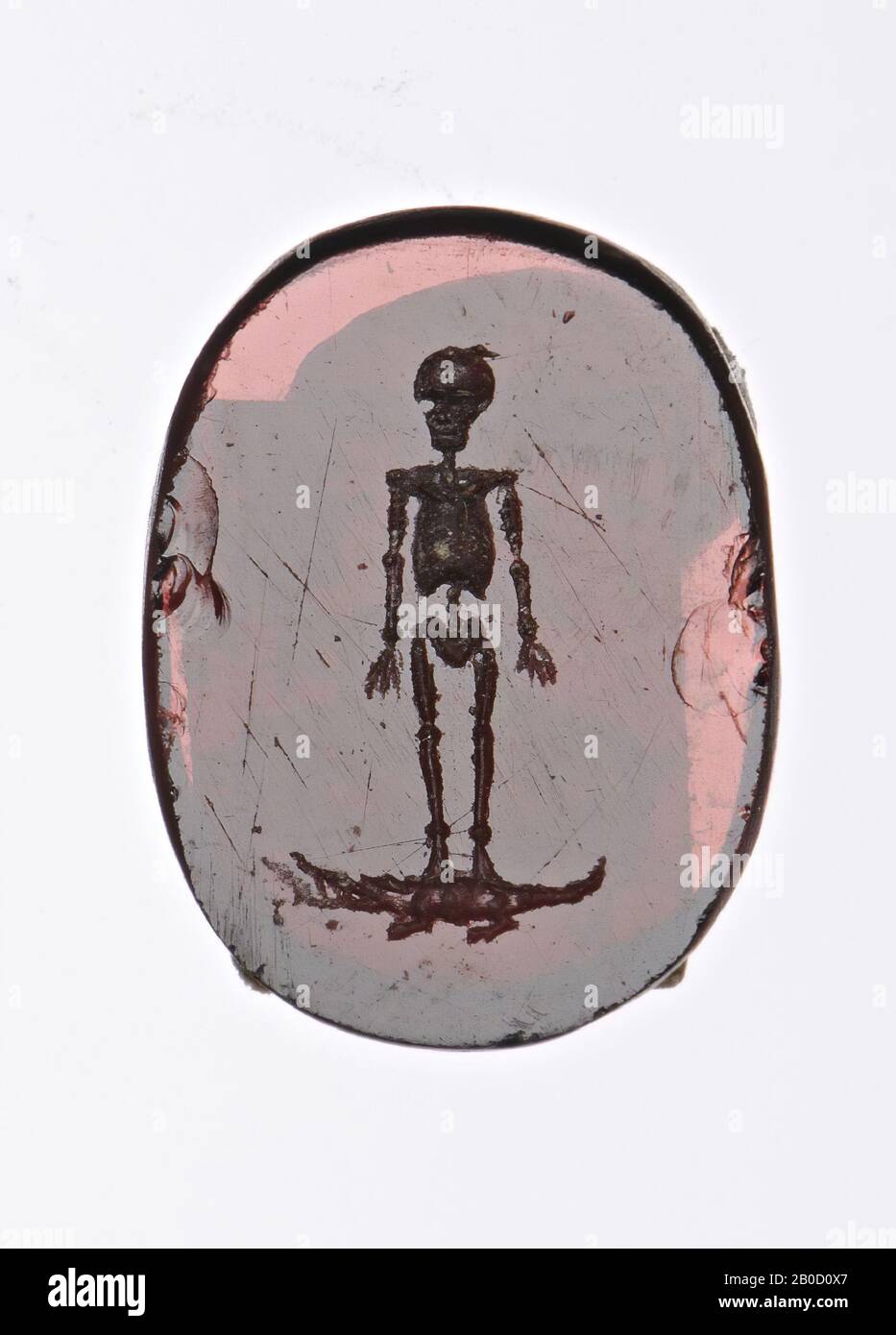 Glass skeleton hi-res stock photography and images - Alamy