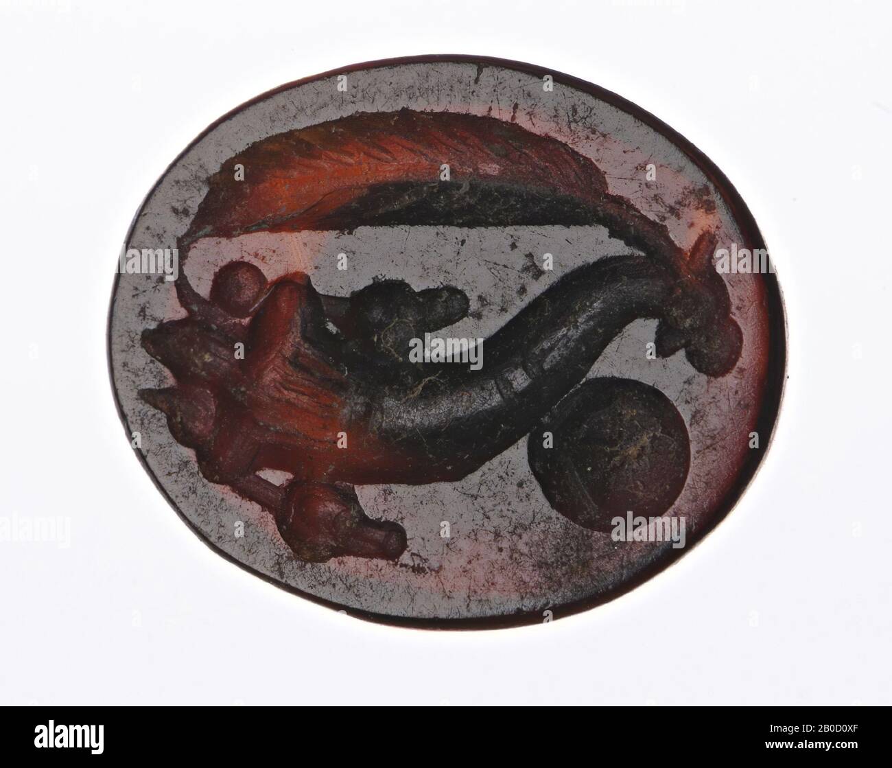 Cornucopia feather hi-res stock photography and images - Alamy