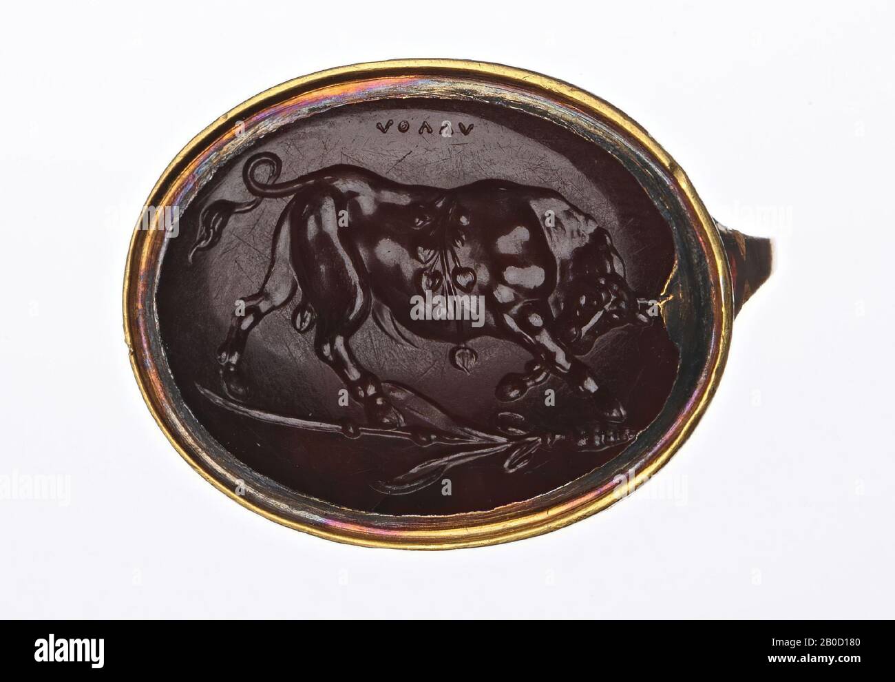 Thyrsus standing hi-res stock photography and images - Alamy