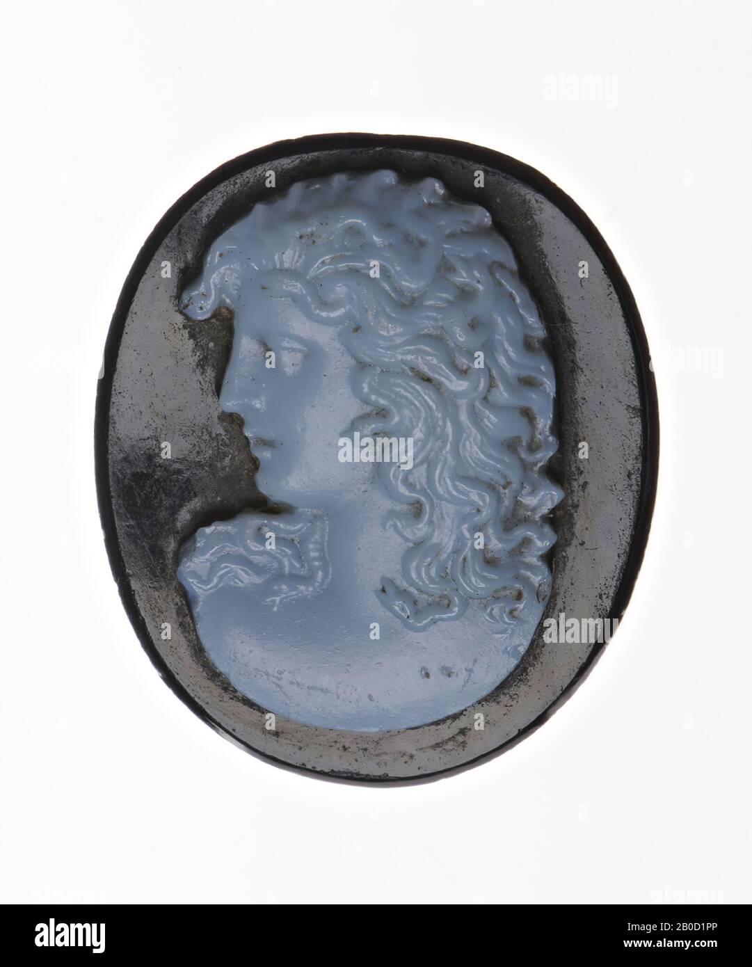 Type medusa strozzi hi-res stock photography and images - Alamy