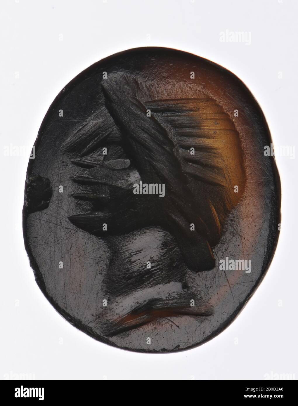 Vz: bust of woman and profile to the left, gem, intaglio, sard, Color ...