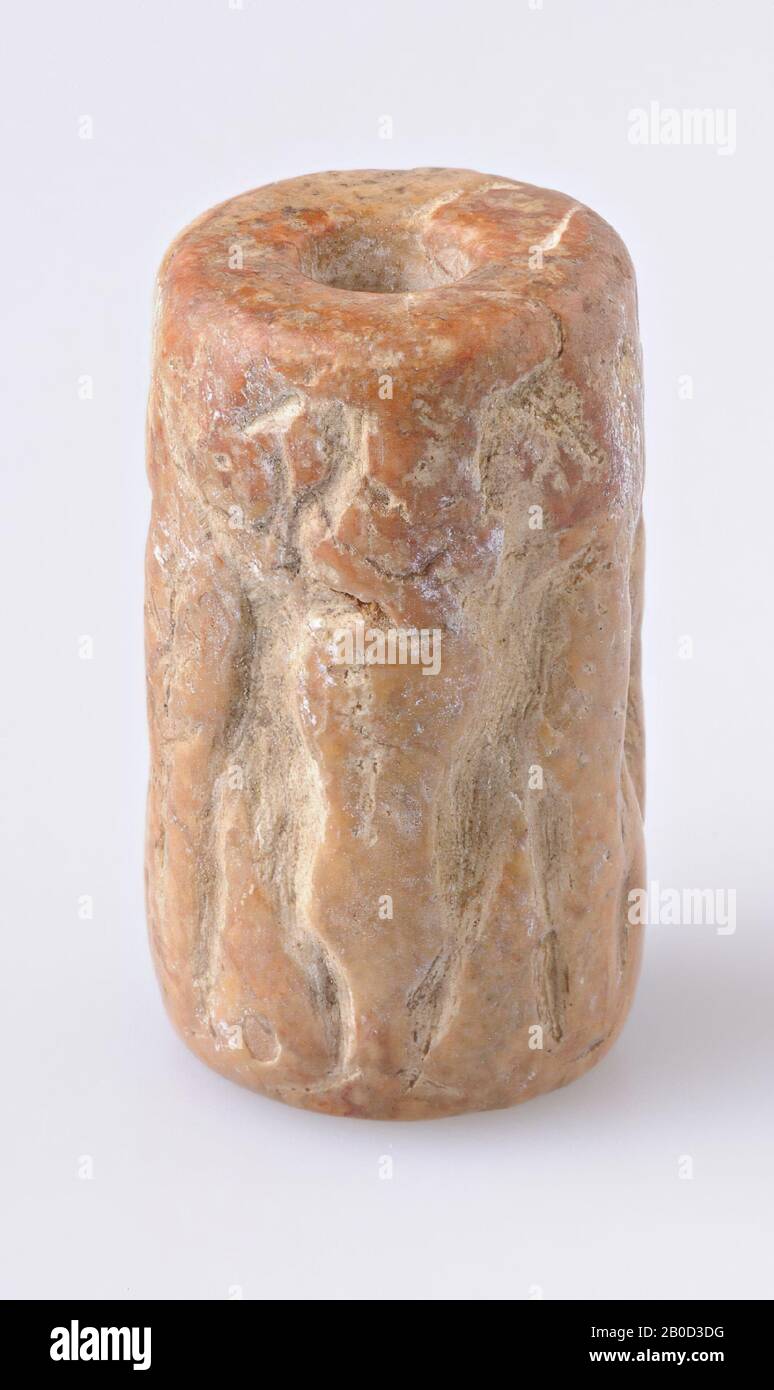 Pink animals hi-res stock photography and images - Alamy