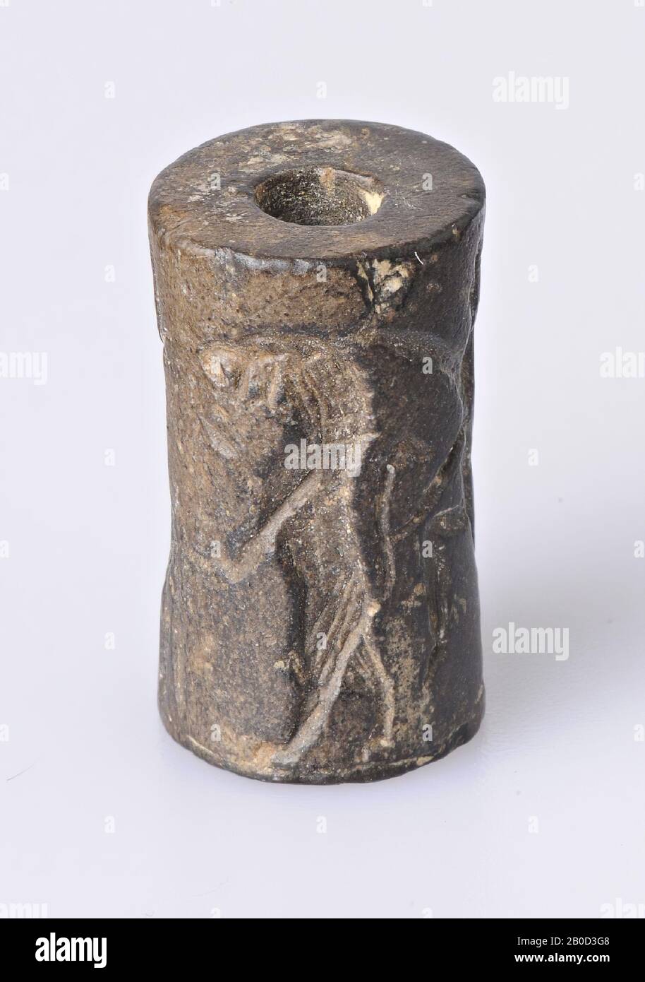 Coil dog hi-res stock photography and images - Alamy