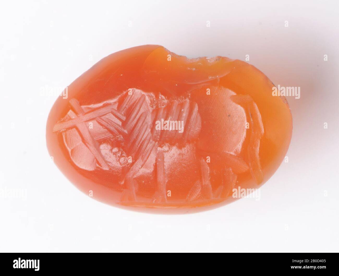 Walking a horse hi-res stock photography and images - Alamy