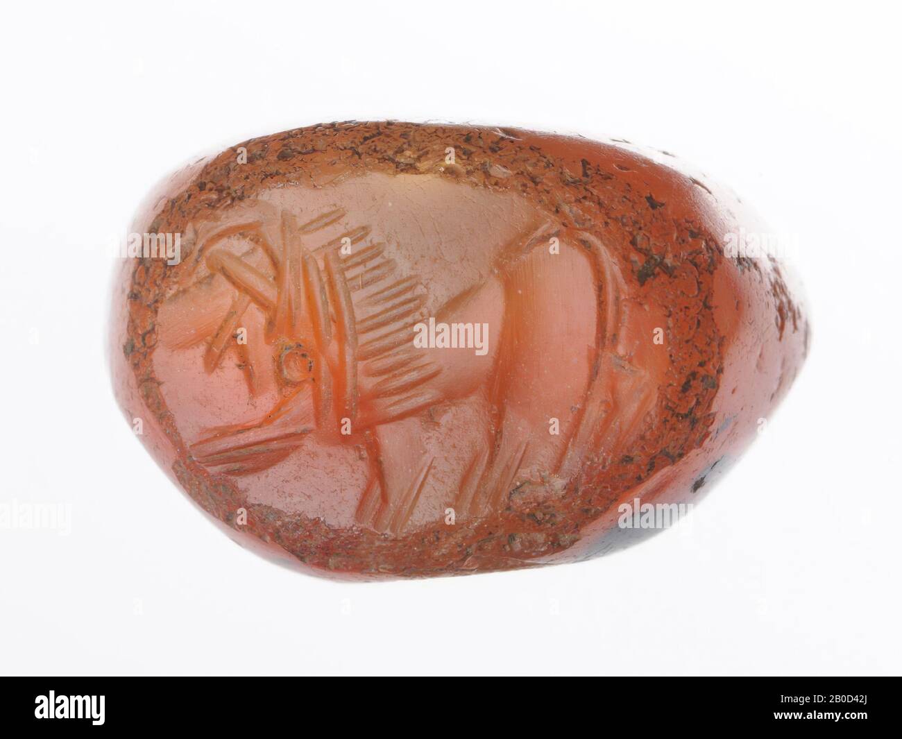 6 x 19 Cut Out Stock Images & Pictures - Alamy